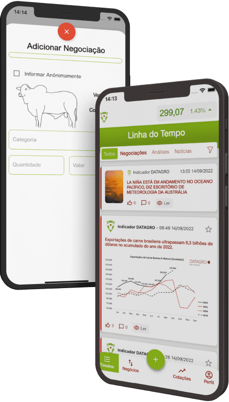 Datagro | Indicador do Boi